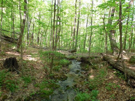 A Mountain Stream Along The Hiking Trail To The Walls Of J Flickr