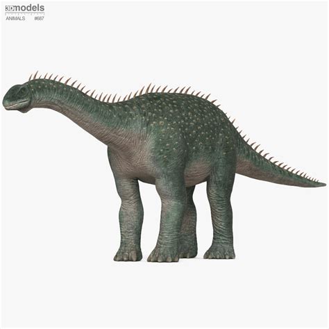 Barapasaurus 3d Model Download Dinosaur On