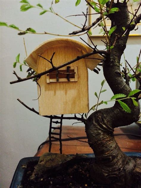 Back Of The Tiny Tree House