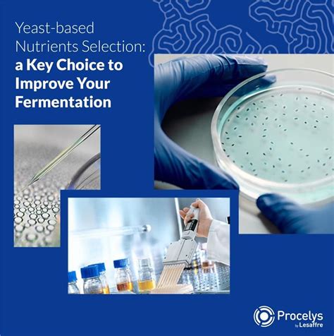 Nitrogen Sources Did You Know That Nitrogen Sources Have A Profound