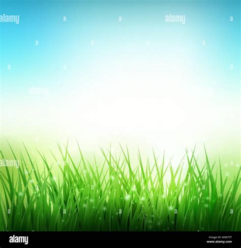 Natural Green Grass Background Vector Illustration Eps 10 Stock