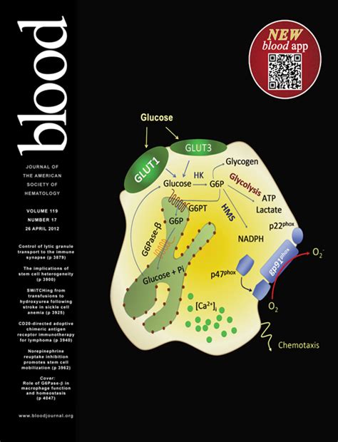 Human Nk Cells At Early Stages Of Differentiation Produce Cxcl8 And Express Cd161 Molecule That
