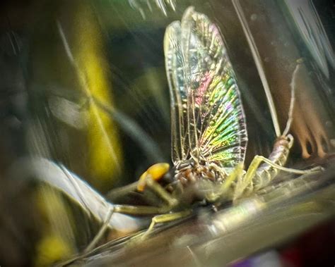 Andy Paschek Andy Paschek Added A New Photo