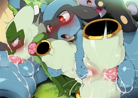 Dagasi Floragato Hoopa Hoopa Confined Lucario Riolu Nintendo