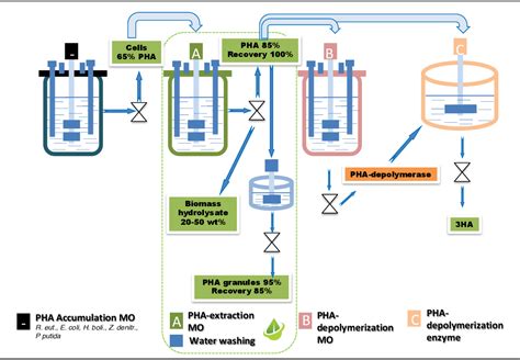 Figure 1 From Biobased Extraction And Depolymerization Technology For