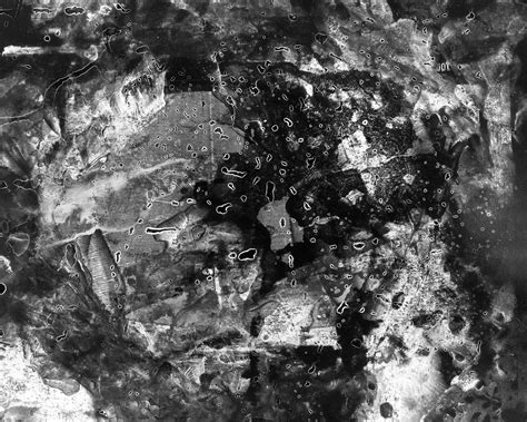 Mercedes Benz Financial Services