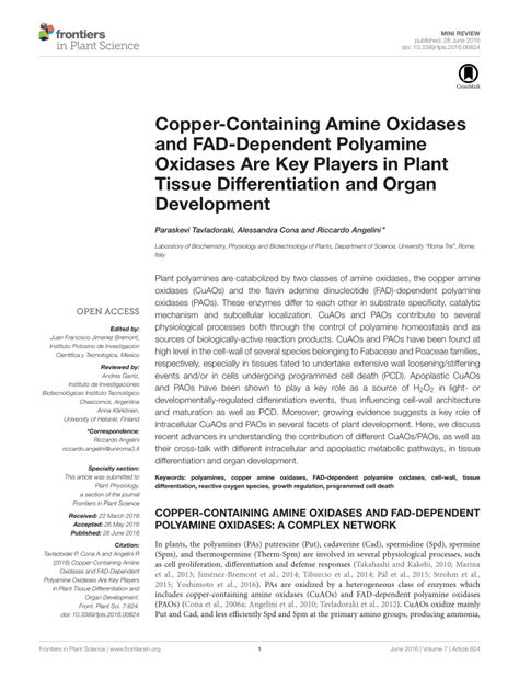 Pdf Copper Containing Amine Oxidases And Fad Dependent Polyamine