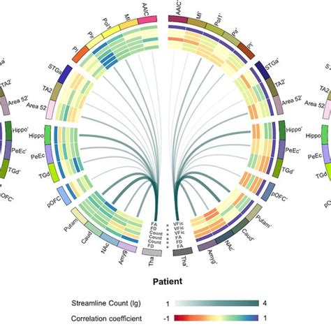 Chord Diagrams Show Streamline Counts And Metric Correlations Of
