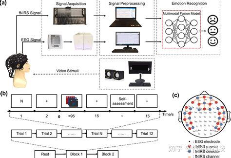 一种用于 Eeg Fnirs 多模态情感 Bci 的双向跨模态转换器表示学习模型 知乎