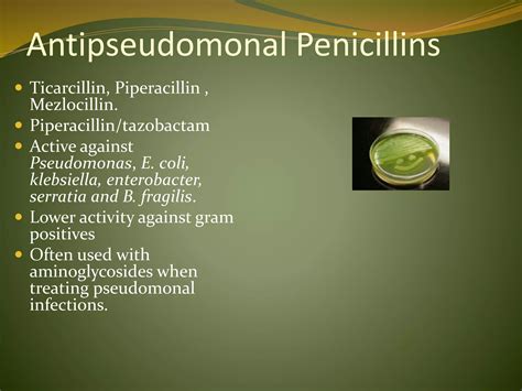 Antibiotics Pptx