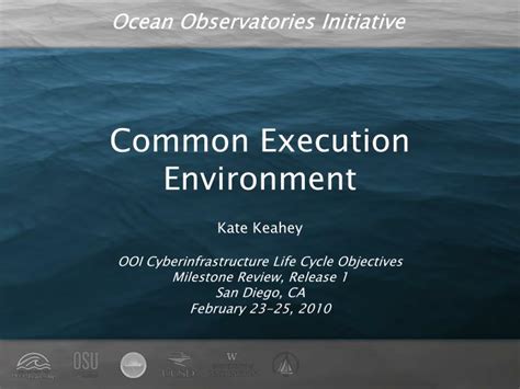 PPT Common Execution Environment PowerPoint Presentation Free Download ID
