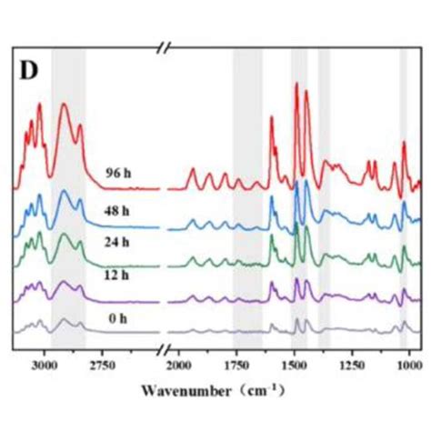 In Situ Fourier Transform Ftir Testing Atr Tabletting Diffuse