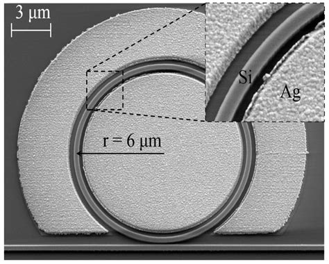 Optical Ring Resonator Detector At Rose Longstaff Blog