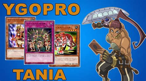 Tania Accurate Character Deck Ygopro Replays And Deck List Youtube