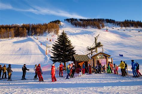 哈尔滨雪乡三日游最佳路线，哈尔滨雪乡雪谷雾凇岛旅游攻略 知乎