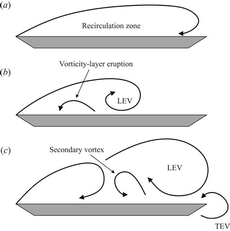 Experimental Investigation On The Leading Edge Vortex Formation And