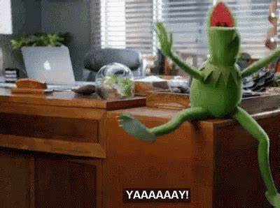 Excited Yay  Excited Yay Kermit Discover And Share S