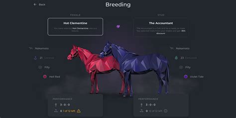 Zed Run Improving For The Future By Zed Run Medium