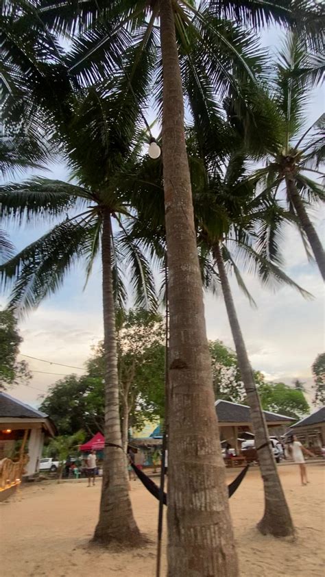 Alming Guest House Cdo Looking For A Place To Stay Alming Guest