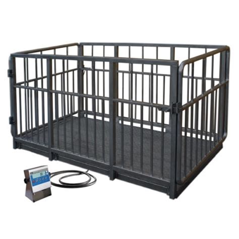 Wirw Wpts1 Weighing And Inspection