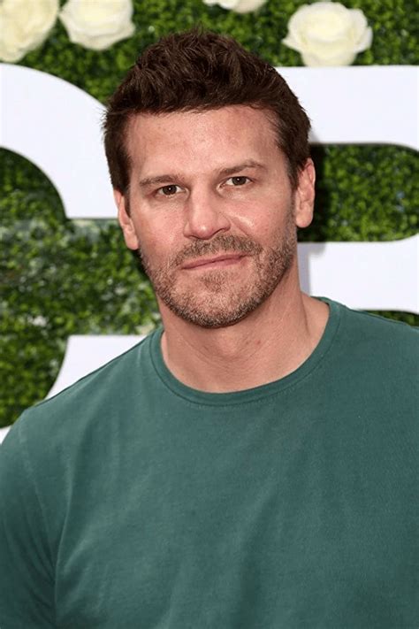 Famiglia David Boreanaz