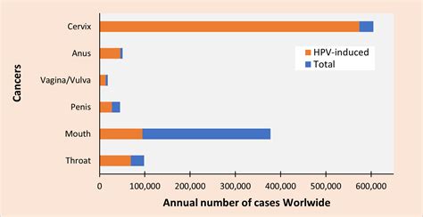 18 Human Papillomavirus Hpv And Cervical Cancer Introduction To
