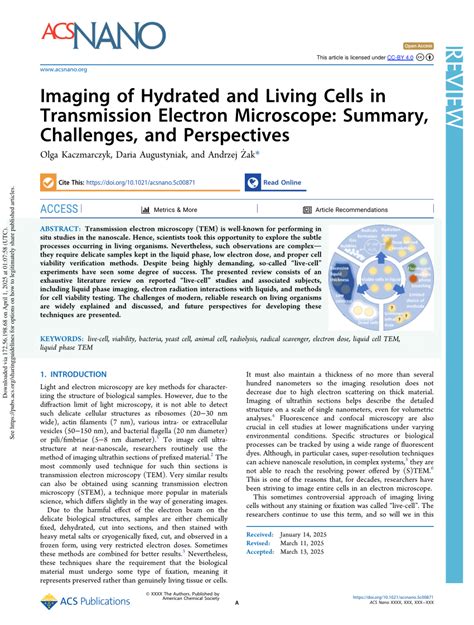 Pdf Imaging Of Hydrated And Living Cells In Transmission Electron