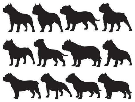 Silueta De Bully Americano Amerikanischer Bully Hund Vektorgrafiken Silueta De Bully Americano Amerikanischer Bully Hund Vektorgrafiken