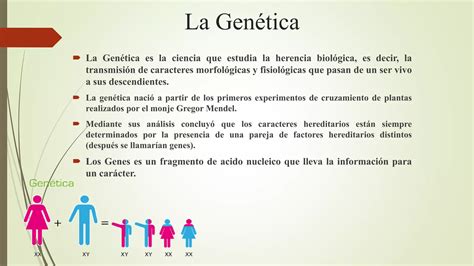 Herencia Genética Pptx