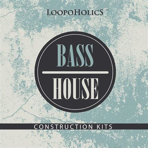 Bass House Construction Kits Loopoholics