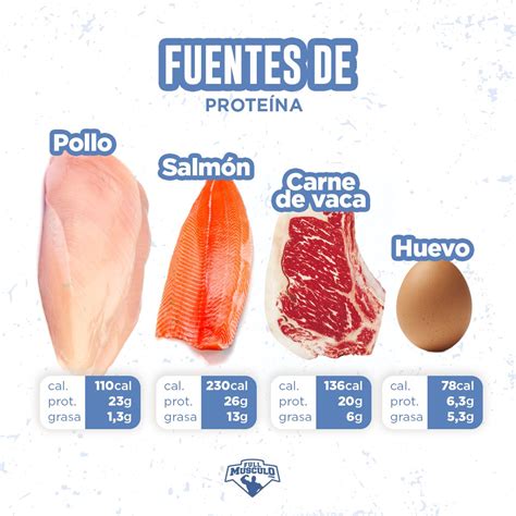 Los 40 Mejores Alimentos Ricos En Proteína • Fullmusculo Alimentos