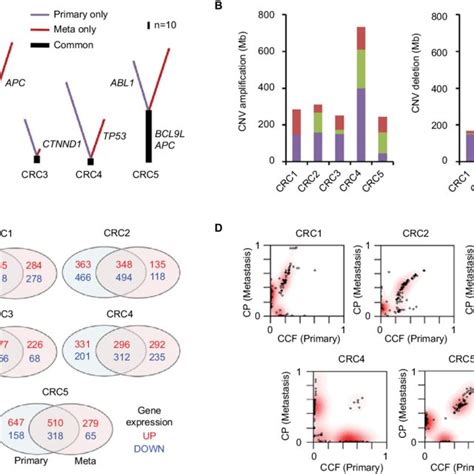 Schematic Diagram Of The Workflow Of Crc Genome And Transcriptome