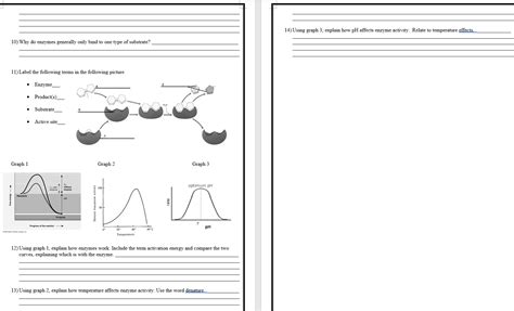 solved 14 using graph 3 explain how ph affects enzyme