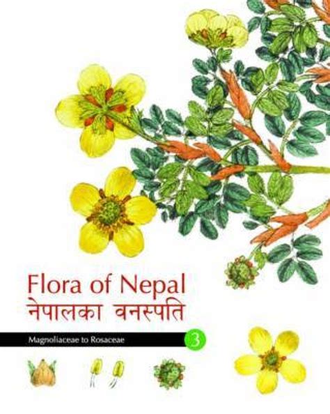 Flora Of Nepal Volume 3 Magnoliaceae To Roseaceae Nhbs Academic