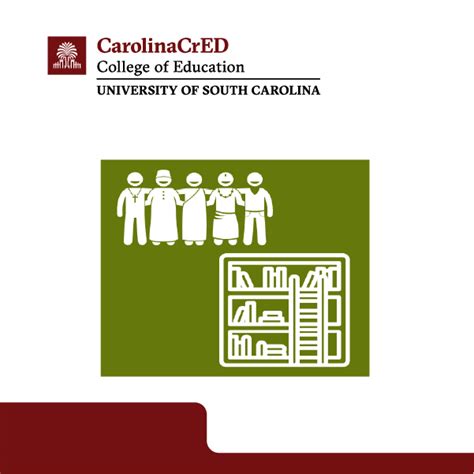 Analyzing Classroom Libraries Diversity Writing Improvement Network