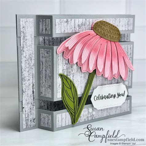 Suestampfield Susan Campfield Independent Stampin Up Demonstrator