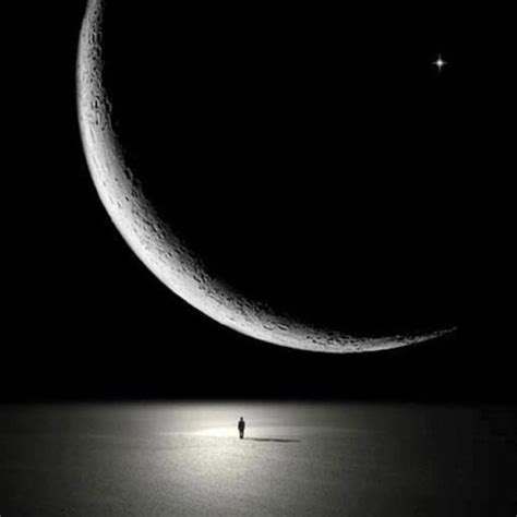 Samaneh Bourbour Phd Student Phd Tehran University Of Medical