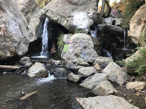 Bouquet Canyon Abandoned Campgrounds 78 Photos And 28 Reviews Hiking