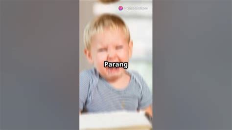 Programmingmemes Youtube