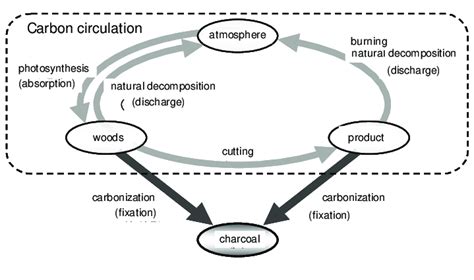Carbon Circulation And Wood Carbonization Download Scientific Diagram