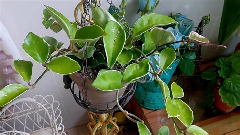 여정 최진희 Youtube