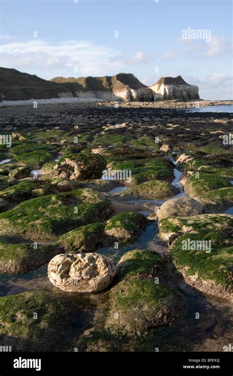 Rock Pool Pools Rockpool Rockpools Beach Stone Stony Beaches Sea Weed