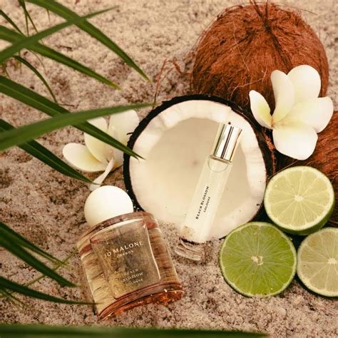 Die Jo Malone Kollektion Wurde Um Eine Neue Blossom Edition Erweitert