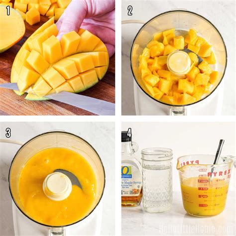 How To Make Mango Juice Using A Blender at Lisa Ford blog