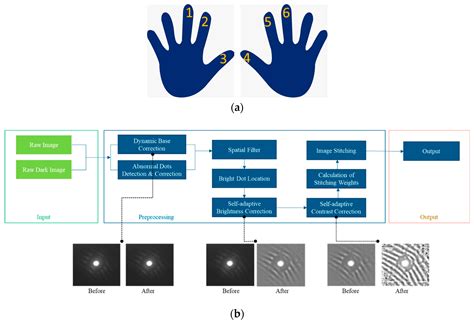 An Image Unmixing And Stitching Deep Learning Algorithm For In Screen Fingerprint Recognition