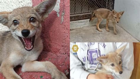 La Casa En Donde Se Crió Jackie Kennedy Se Encuentra A La Venta Infobae