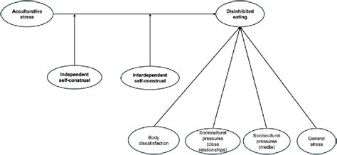 Hypothesized Structural Model Download Scientific Diagram