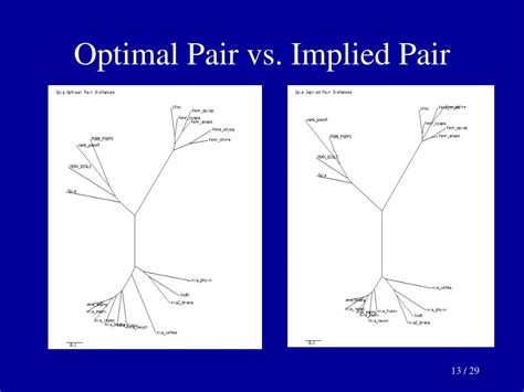 Ppt Multiple Sequence Alignment By Iterative Tree Neighbor Alignments