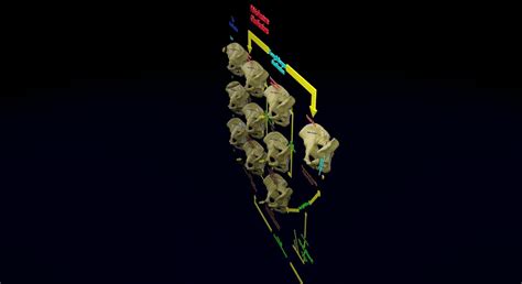 Pelvis Fracture Classifications 3d Model Superhive Formerly Blender Market