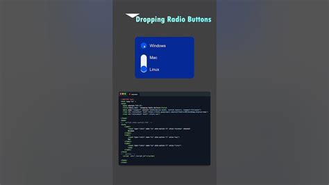 🚀 How To Drop Stylish Radio Buttons With Html And Css 🎨 Shorts Coding Roblox Ai Js